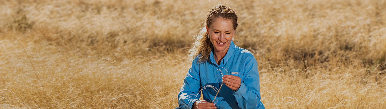 Home – Science Council : The Science Council